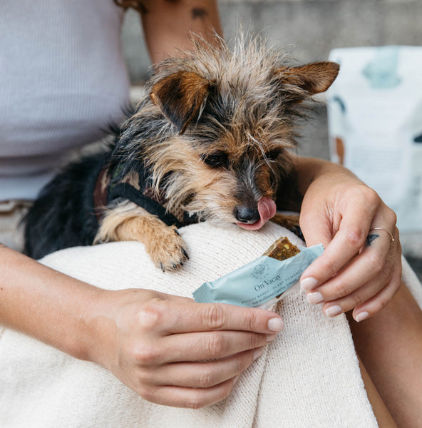 On Vacay - Canine Treats – Fetching Fields